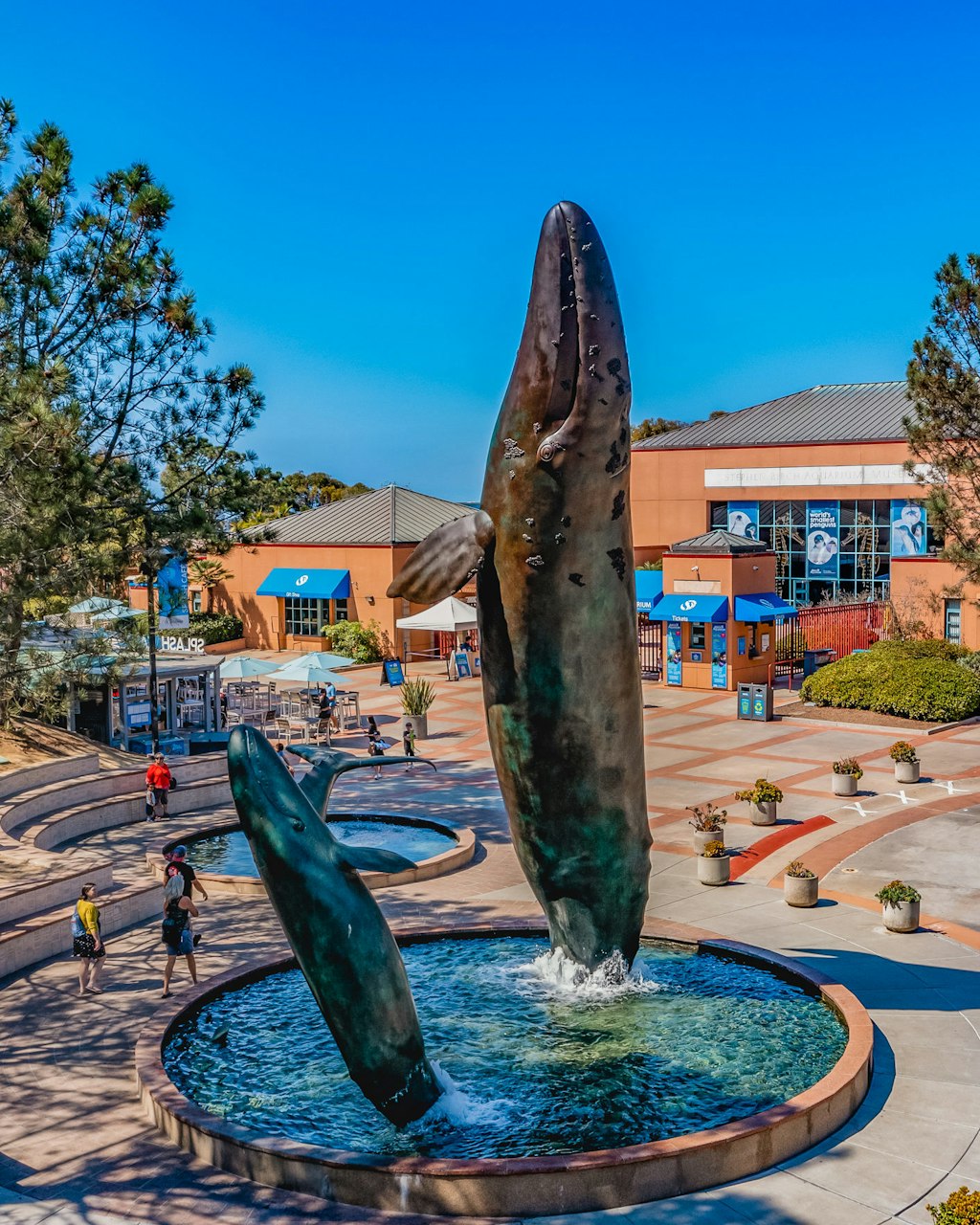 Homepage | PST ART: Art & Science Collide