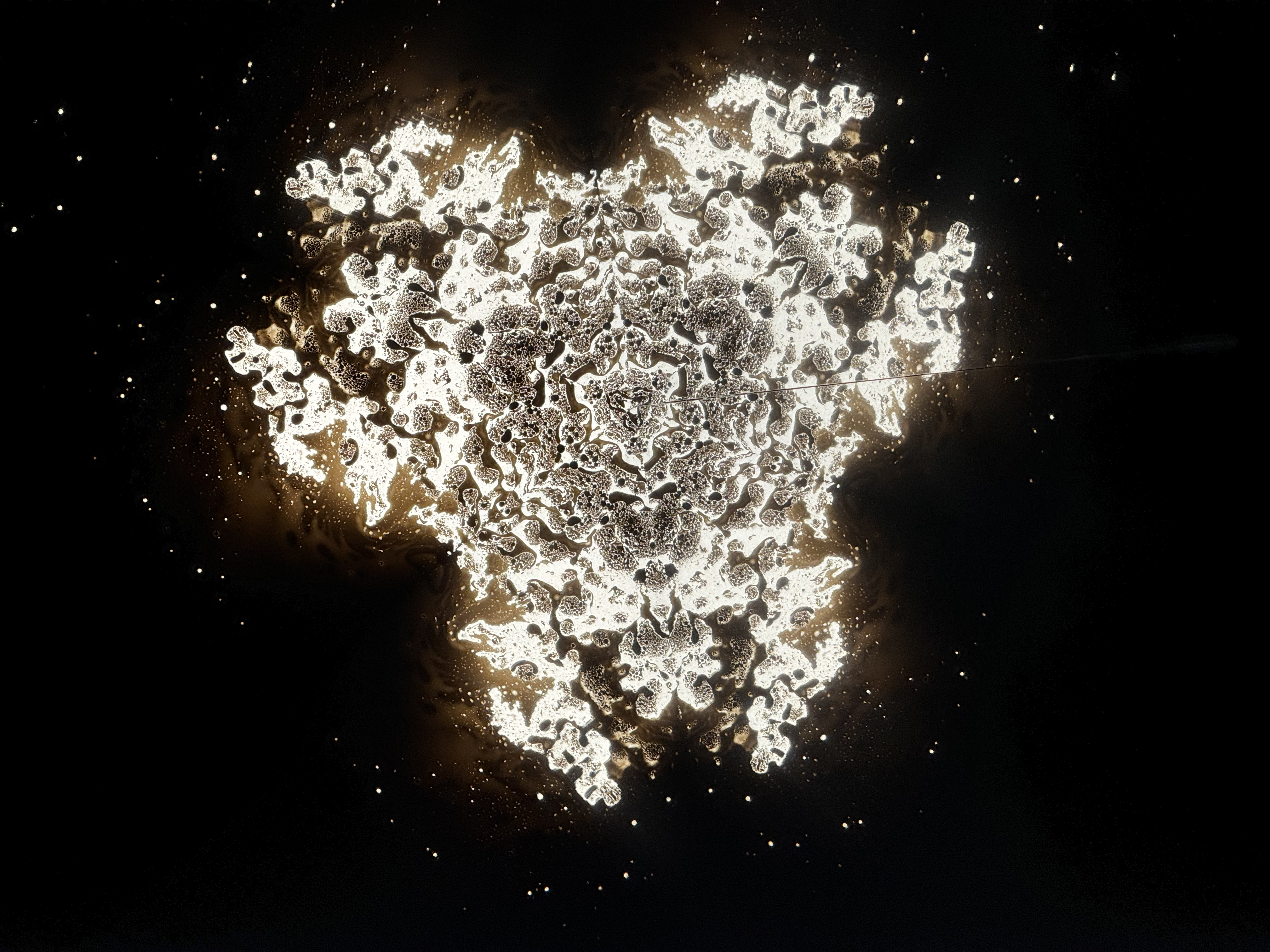 Art Meets Science: PST ART Open House Revolutionizes Creative ...